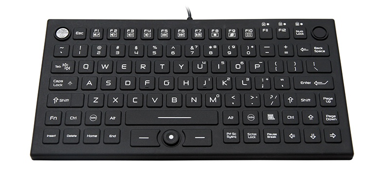 Compact Keyboard with Mouse Pointer